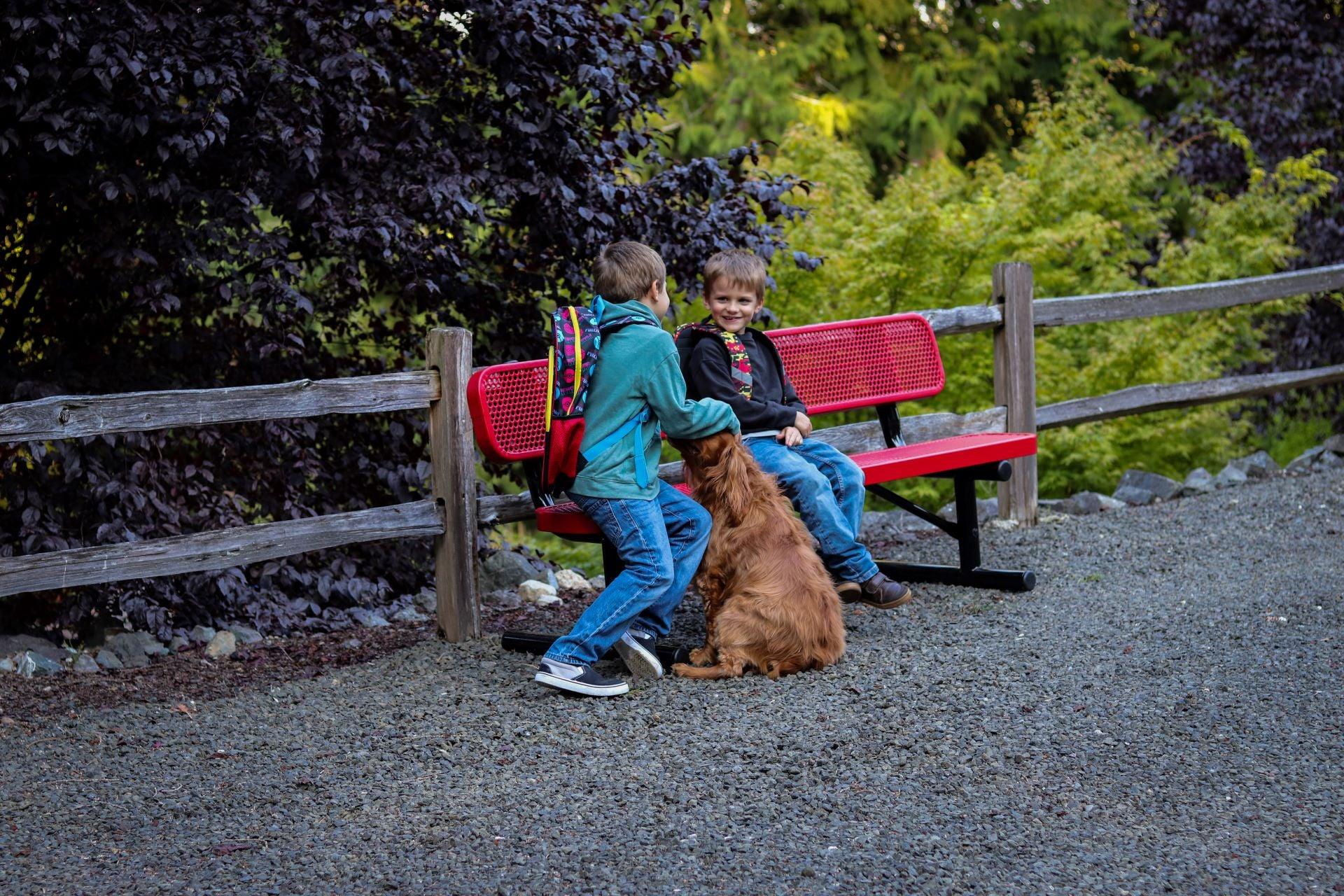 Choosing the Right Park Bench: Types, Materials, and Maintenance Tips ...